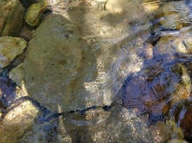 Chácara para venda em Chapada dos Guimarães