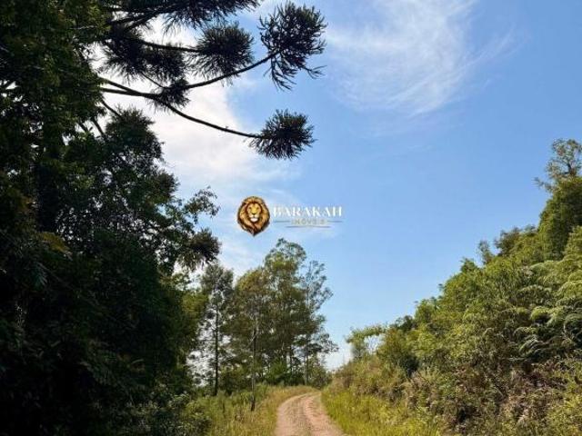 Chácara para venda em Kayser, Caxias do Sul