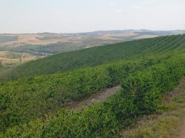 Chácara