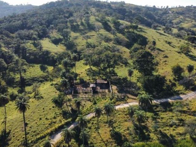 Fazenda