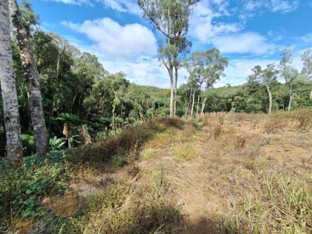Chácara para venda em Campo Largo da Roseira, São José dos P