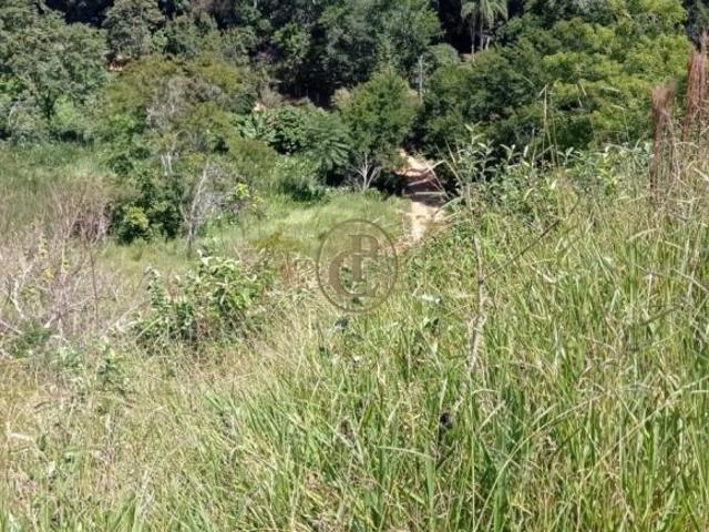 Chácara 63.000 m² Com Escritura Pé no Asfalto Santa Branca SP