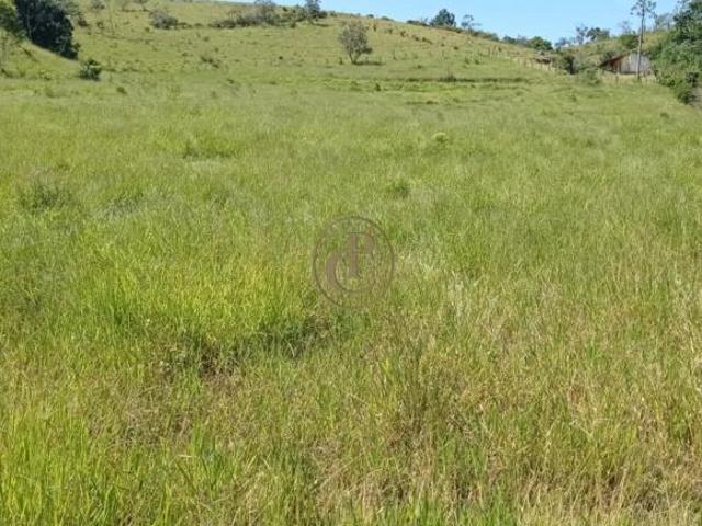 Chácara 63.000 m² Com Escritura Pé no Asfalto Santa Branca SP