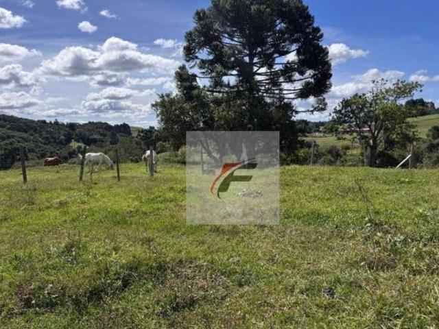 Chácara 6,1 alqueires por R$ 1.100.000 Zona Rural Agudos do Sul/PR