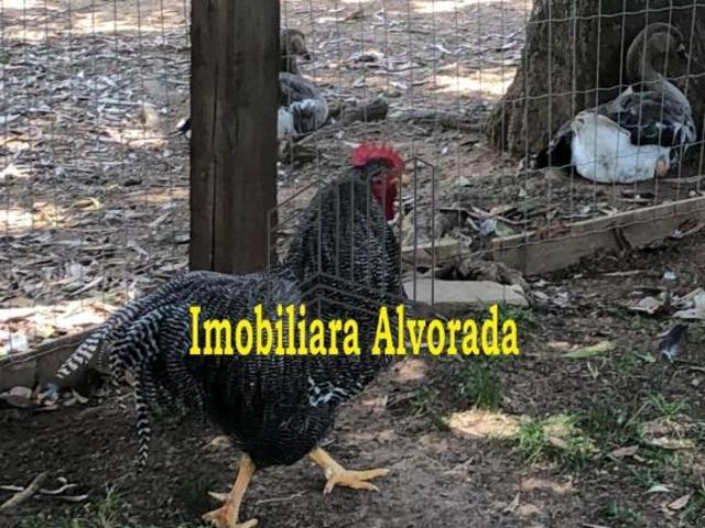 Chácara