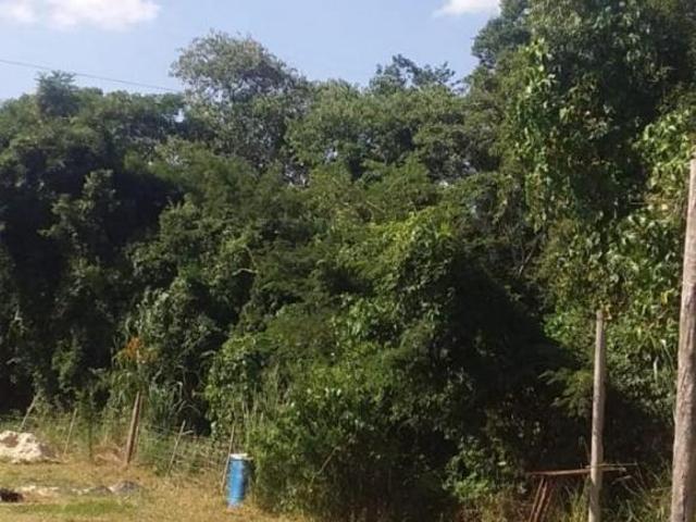 Chácara