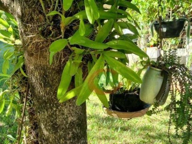 Chácara para venda em Colinas de Indaiatuba, Indaiatuba