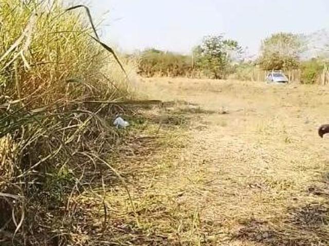 Chácara