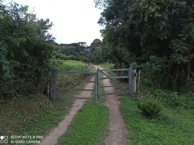 Chácara 72 metros Palmeiras/PR