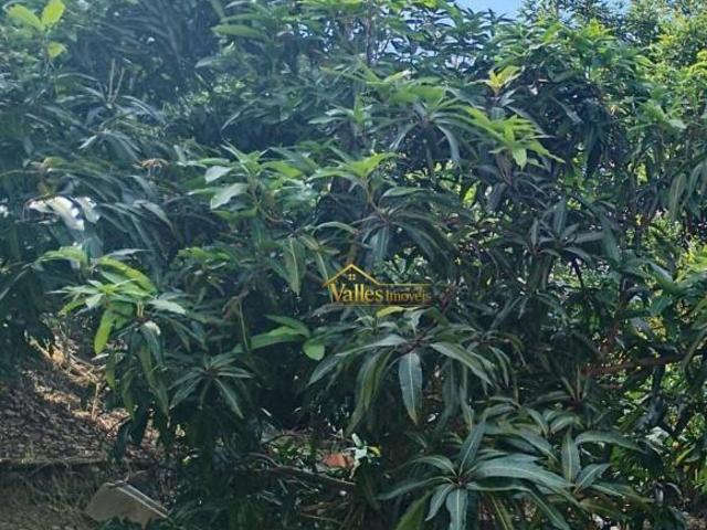 Chácara para venda em Vila Sonia, Valinhos