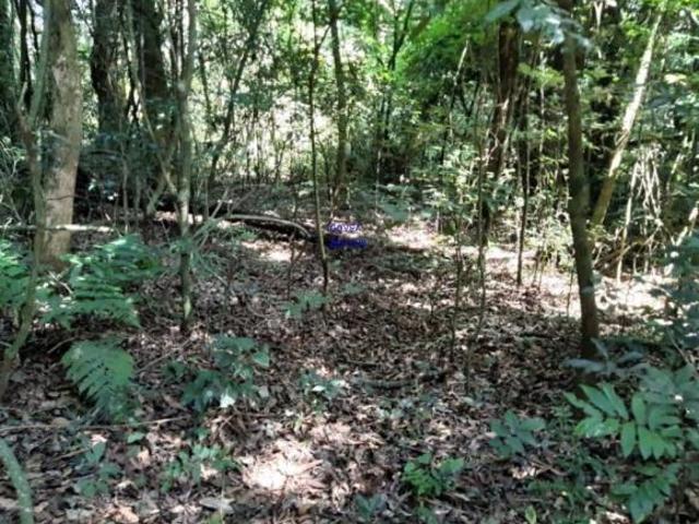 CHÁCARA 7 MILM², ESCRITURADA, ACEITA VEICULO, ESTUDA PERMUTA OU PARCELAMENTO C/ PROPRIETÃRIO, FICA A