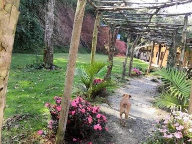 Chácara para venda em Aguazul, Guarulhos