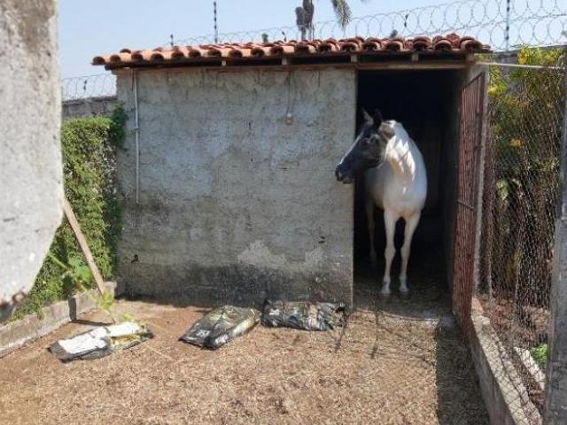 Chácara