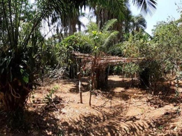 Chácara 900m² — Conjunto Estrela do Sul/Aparecida de Goiânia com córrego no fundo