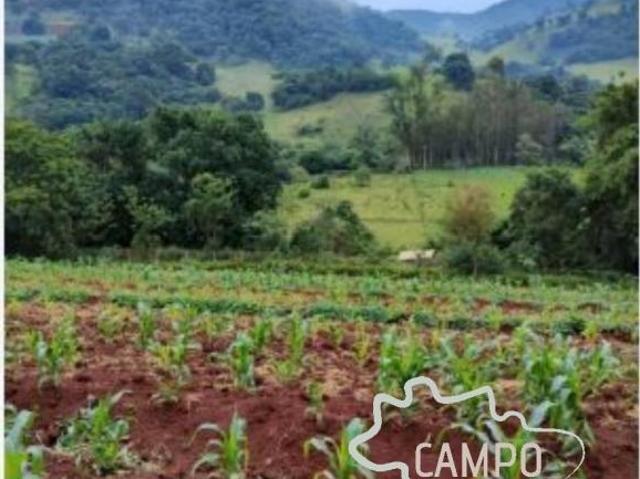 CHÁCARA 9.521 M² NA ZONA RURAL E A 7 MINUTOS DA CIDADE DE BRAZOPOLIS !