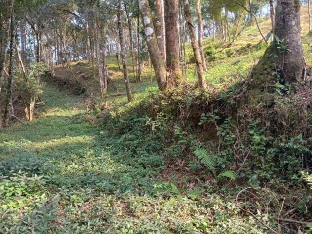 Chácaras a partir de 20.000 m² em Campo Largo – Pa
