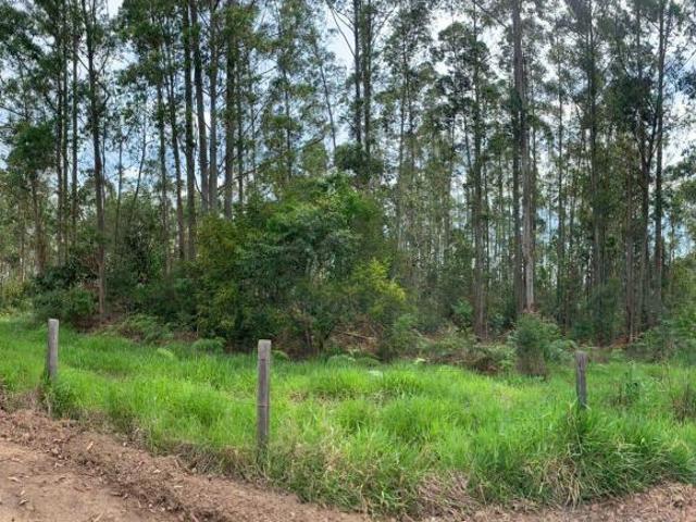 Chácaras à venda em Rolante/RS