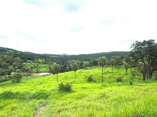 Chácaras de 5 mil m2 à Venda em Mateus Leme MG