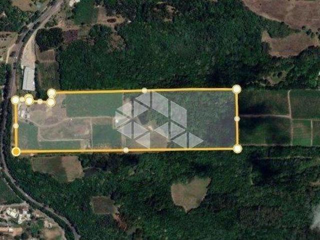 Chácaras de 2 ha em São Gotardo, Flores da Cunha