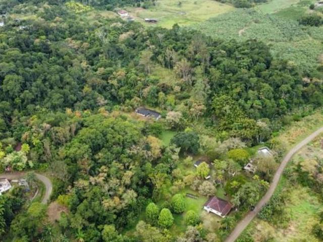 Chácara/Sítio com 3 dormitórios no bairro Fortaleza com 73.000m²