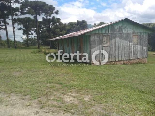 Chácara/Sitio na Lapa / Mato Preto