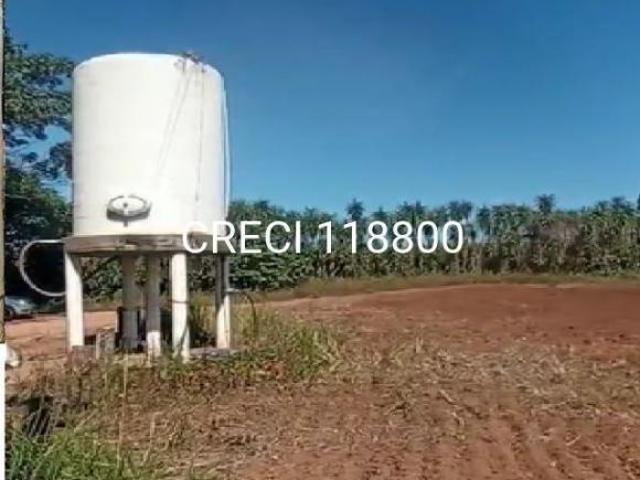 Chácara/Sítio para Venda Área Rural de Engenheiro Coelho Engenheiro Coelho