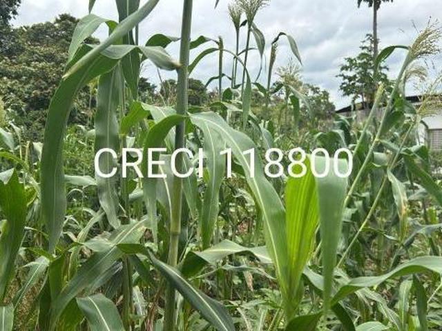 Chácara/Sítio para Venda Jardim das Nações Salto