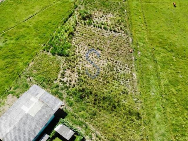 Chácara/sítio/fazenda, Localidade de Venturosa, Santo Antônio da Patrulha, RS