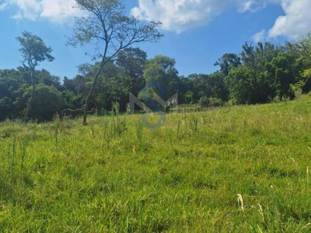 Chácara/sítio/fazenda, Palmeira Beco da Rola, Santo Antônio da Patrulha, RS