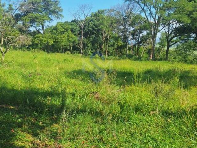 Chácara/sítio/fazenda, Palmeira Beco da Rola, Santo Antônio da Patrulha, RS