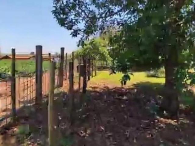 Chácaras/Imóveis Rurais Padrão em Guatapará