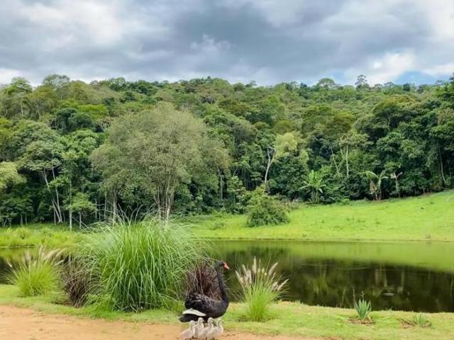 Chácaras/Imóveis Rurais RanchoSítio em São Roque