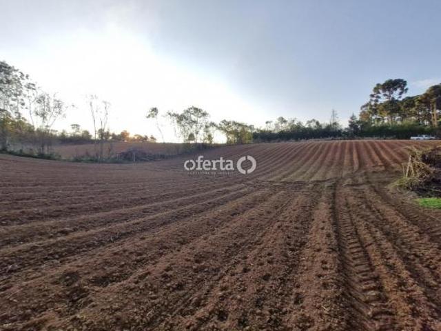 Chácara/Terreno em Contenda