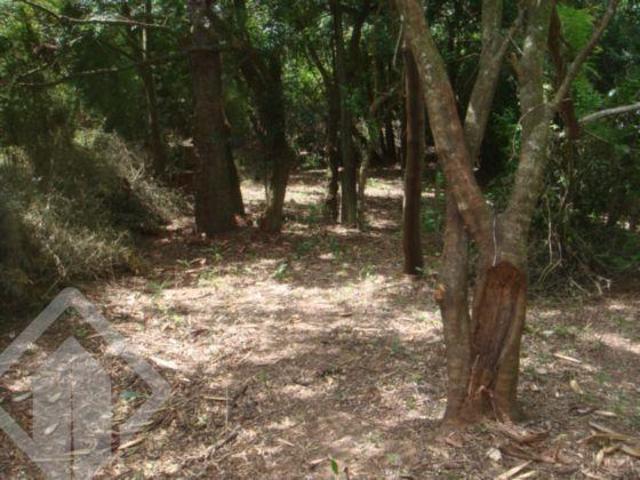 Chacrinha no bairro Teresópolis