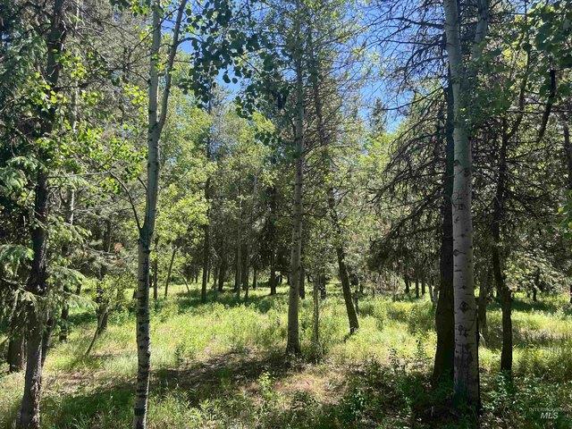 Chad Dr Lot 1, McCall, ID 83638