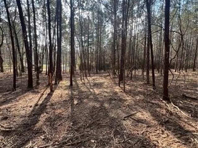 Chadwick Loop Lot 1, Pineville, LA 71360