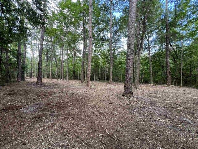 Chaff Chason Ln, Quincy, FL 32352