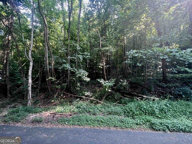Chalet Dr Lot 13, Sautee Nacoochee, GA 30571