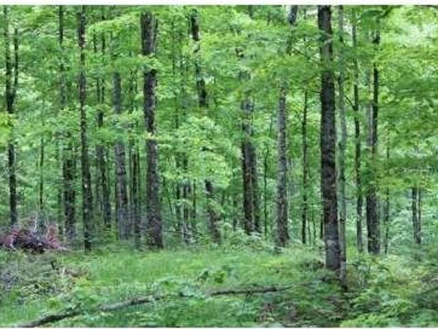 Champion, MI Marquette Country Land 80.00 acre for sale in Champion, Michigan