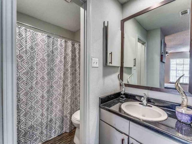 Chandelier 1 Bedroom Apartment for Rent at 2336 Douglas St, Austin, TX 78741 Parker Lane