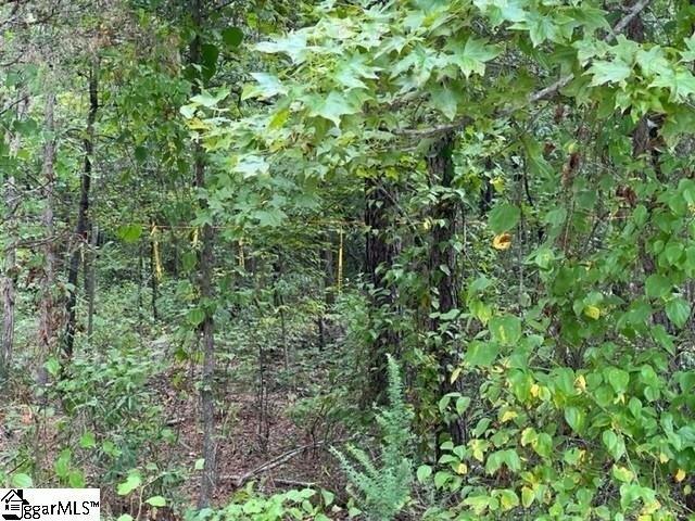 Chandler Rd, Pelzer, Plot For Sale