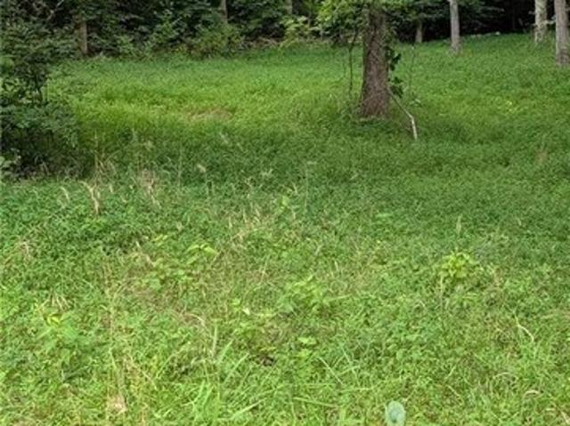 Chanley Rd, Leavenworth, IN 47137