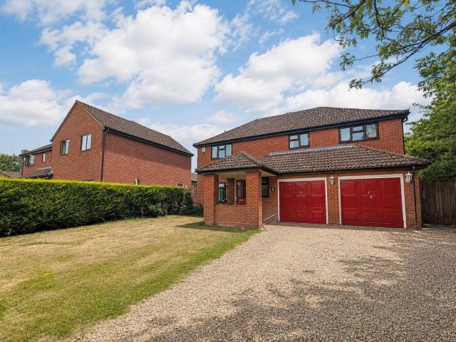 Chanterelle, Highwoods, Colchester CO4, 4 bed detached house to rent, £2,350 pcm | PrimeLocation
