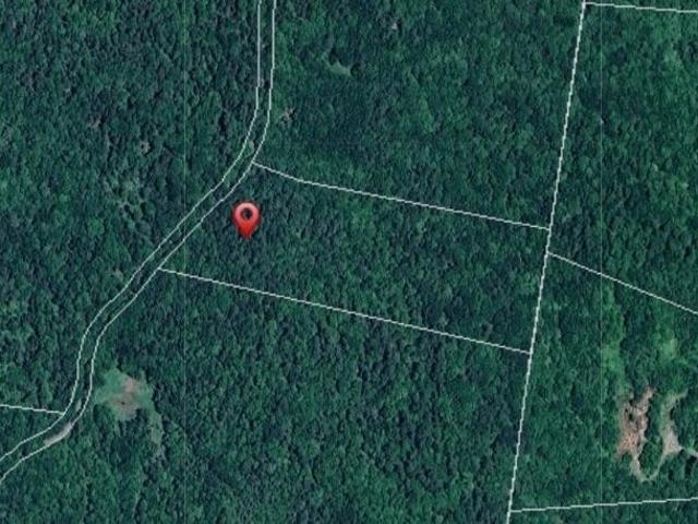 Chaos Tpke, Cavendish, Plot For Sale