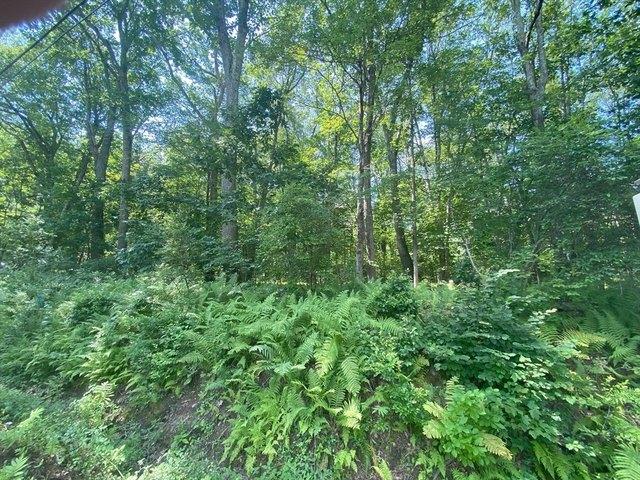 Chapin Rd Lots 2R & 3, Hampden, MA 01036