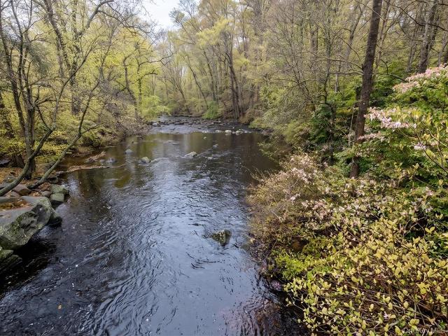 Chapin Trail