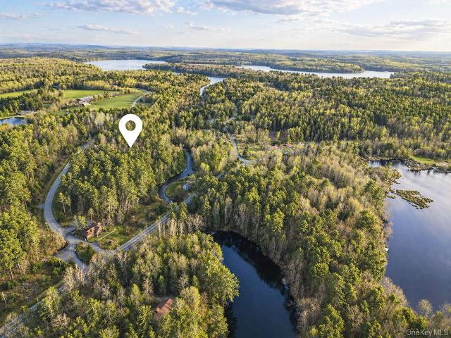 Chapin Trail, White Lake, NY 12786 | MLS #988112 | Compass