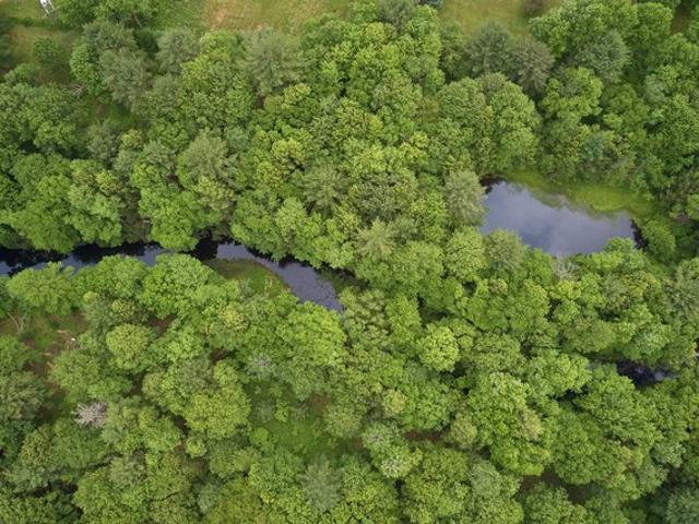 Chapin Trl Lot 4, Bethel, NY 12720
