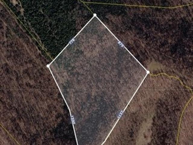 Chapman Hollow Rd, Dowelltown, TN 37059