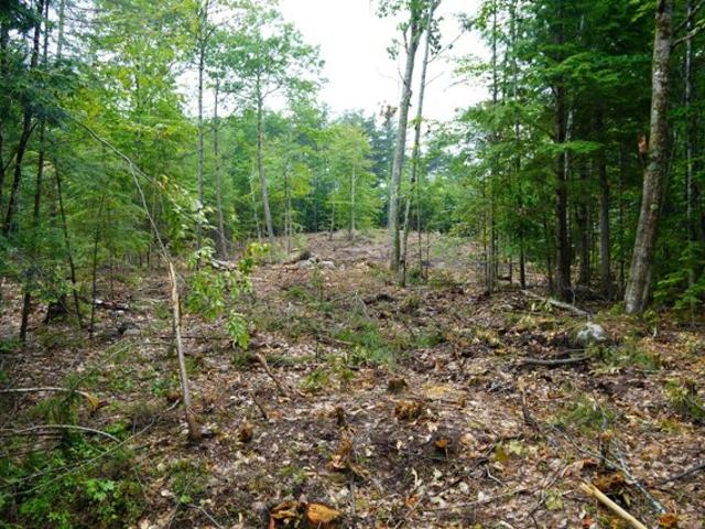 Chapman Rd, Harrison, Plot For Sale